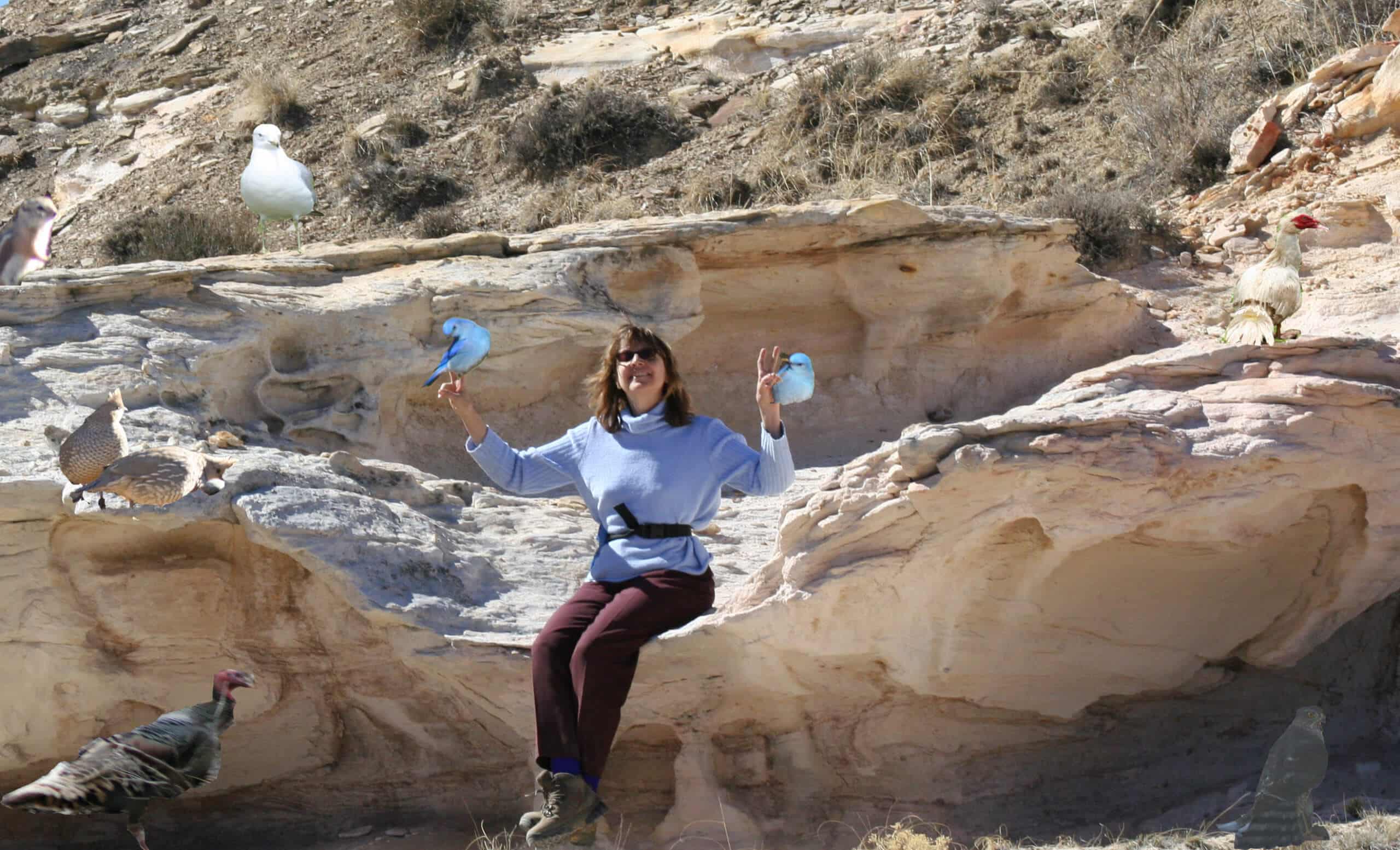 Ann Rutherford - Tai Chi Chih